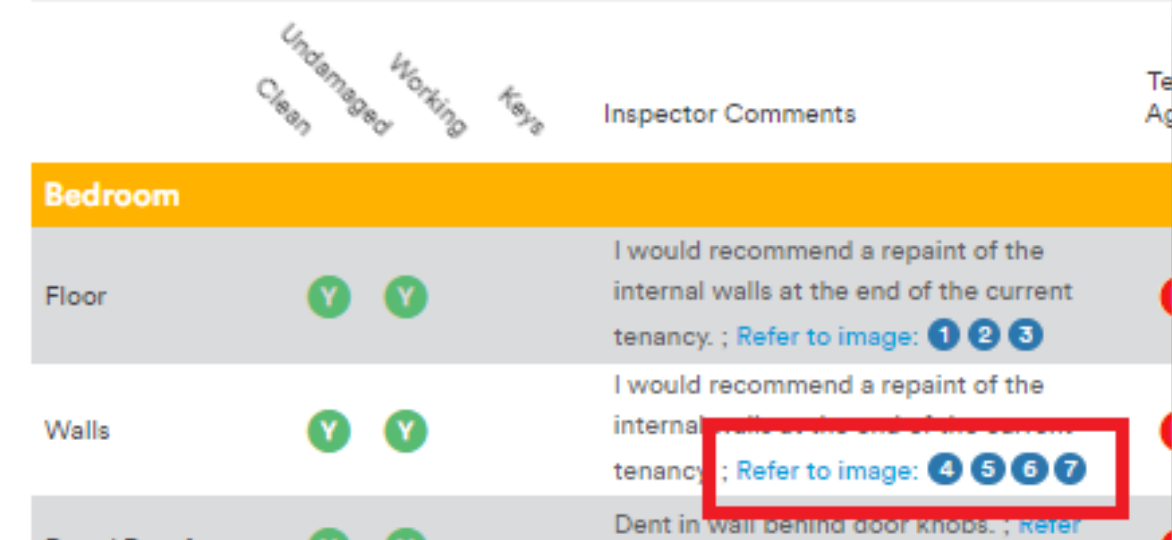 Outgoing Comparison Reports: Photos from the ingoing report appear in ...