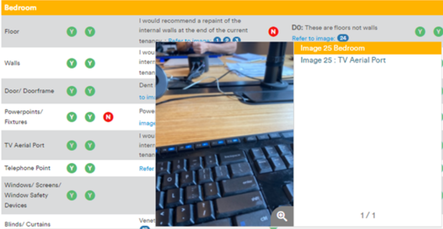 Outgoing Comparison Reports: Photos from the ingoing report appear in ...